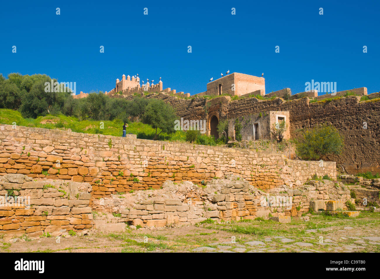 Chellah the necropolis complex Rabat the capital of Morocco Africa ...