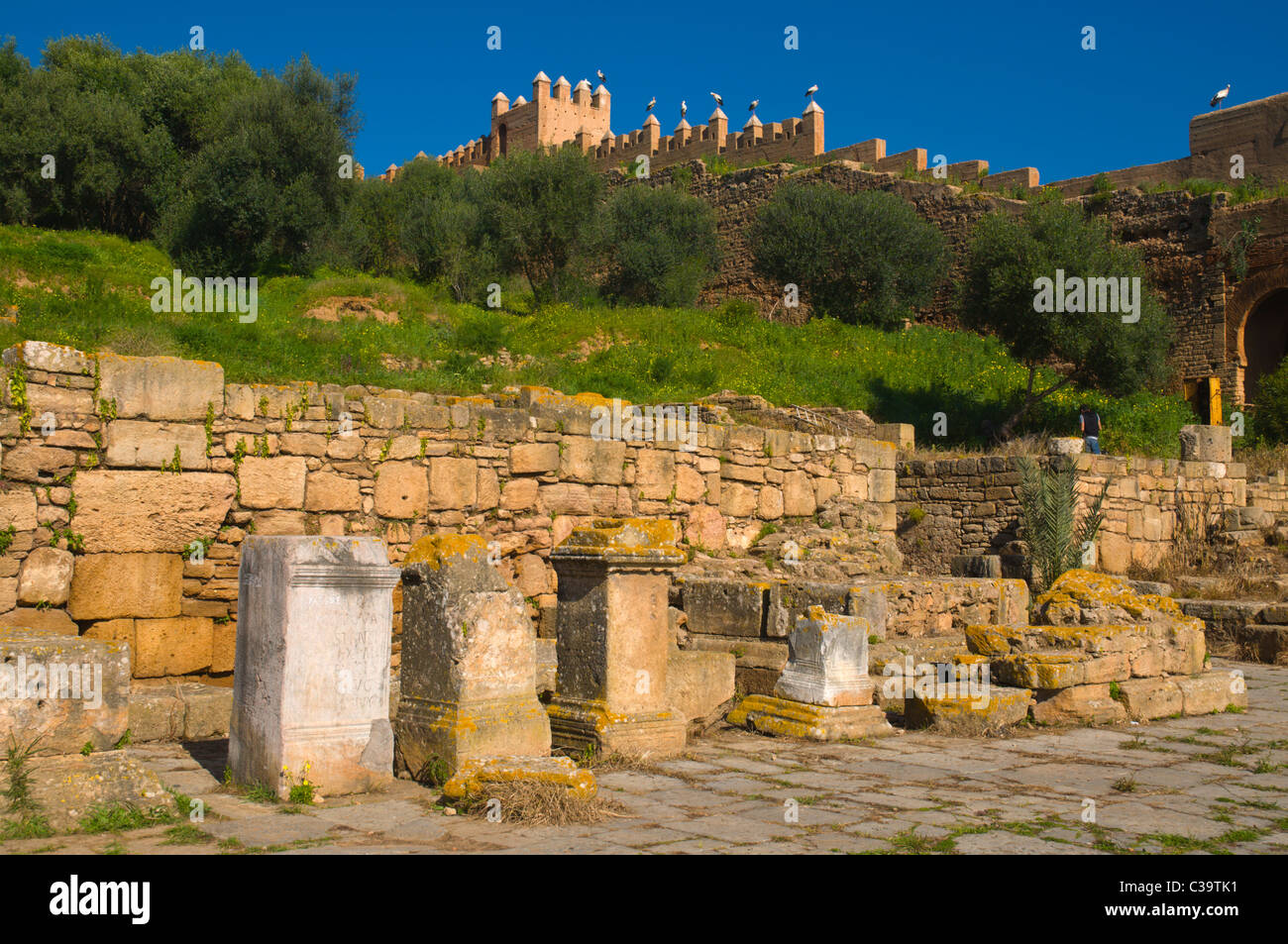 Chellah the necropolis complex Rabat the capital of Morocco Africa ...
