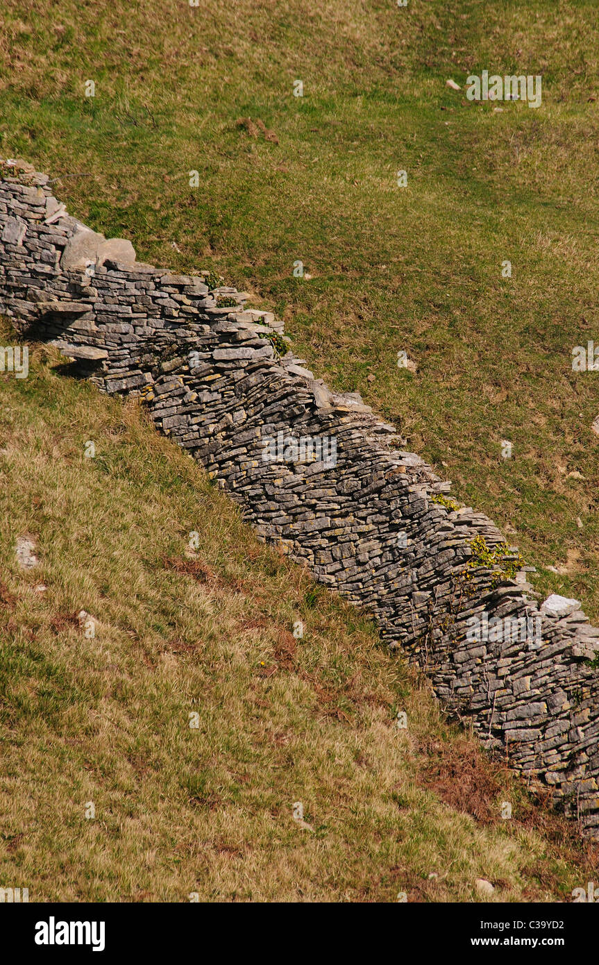 A dry stone wall sloping down a hillside in Dorset UK Stock Photo - Alamy