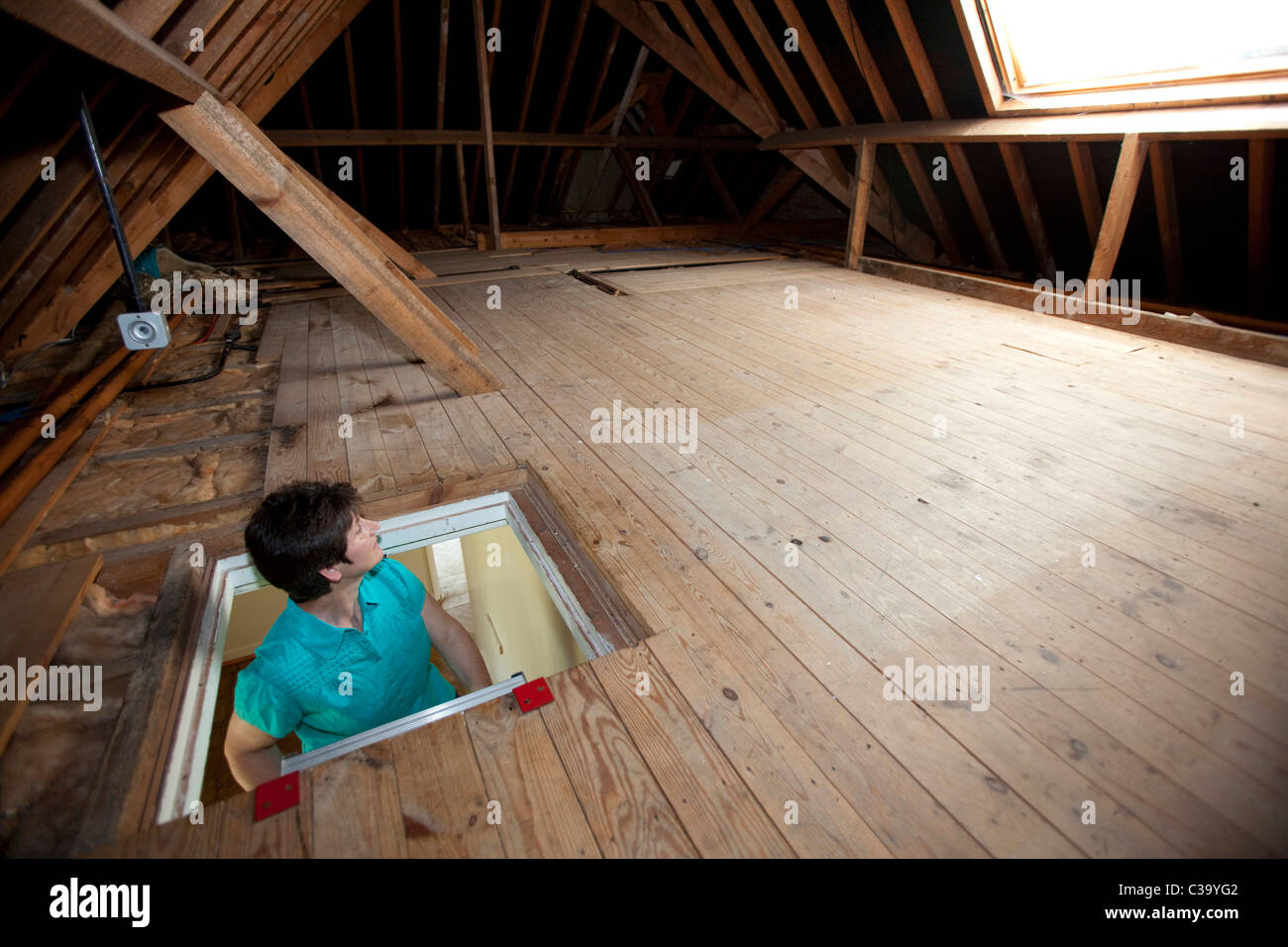 Estate agent giving a house viewing Stock Photo - Alamy