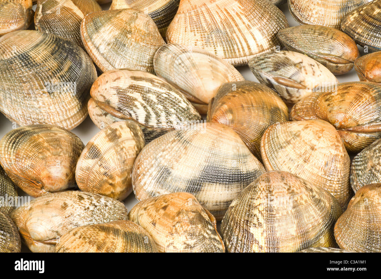 A heap of fresh clams, a food background Stock Photo - Alamy