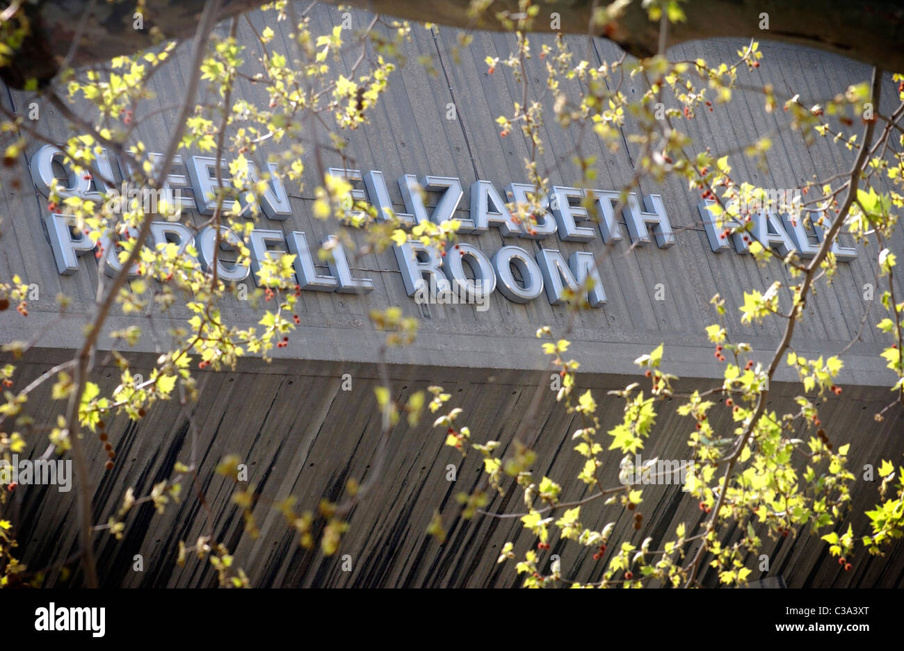Queen Elizabeth Hall, London Stock Photo - Alamy