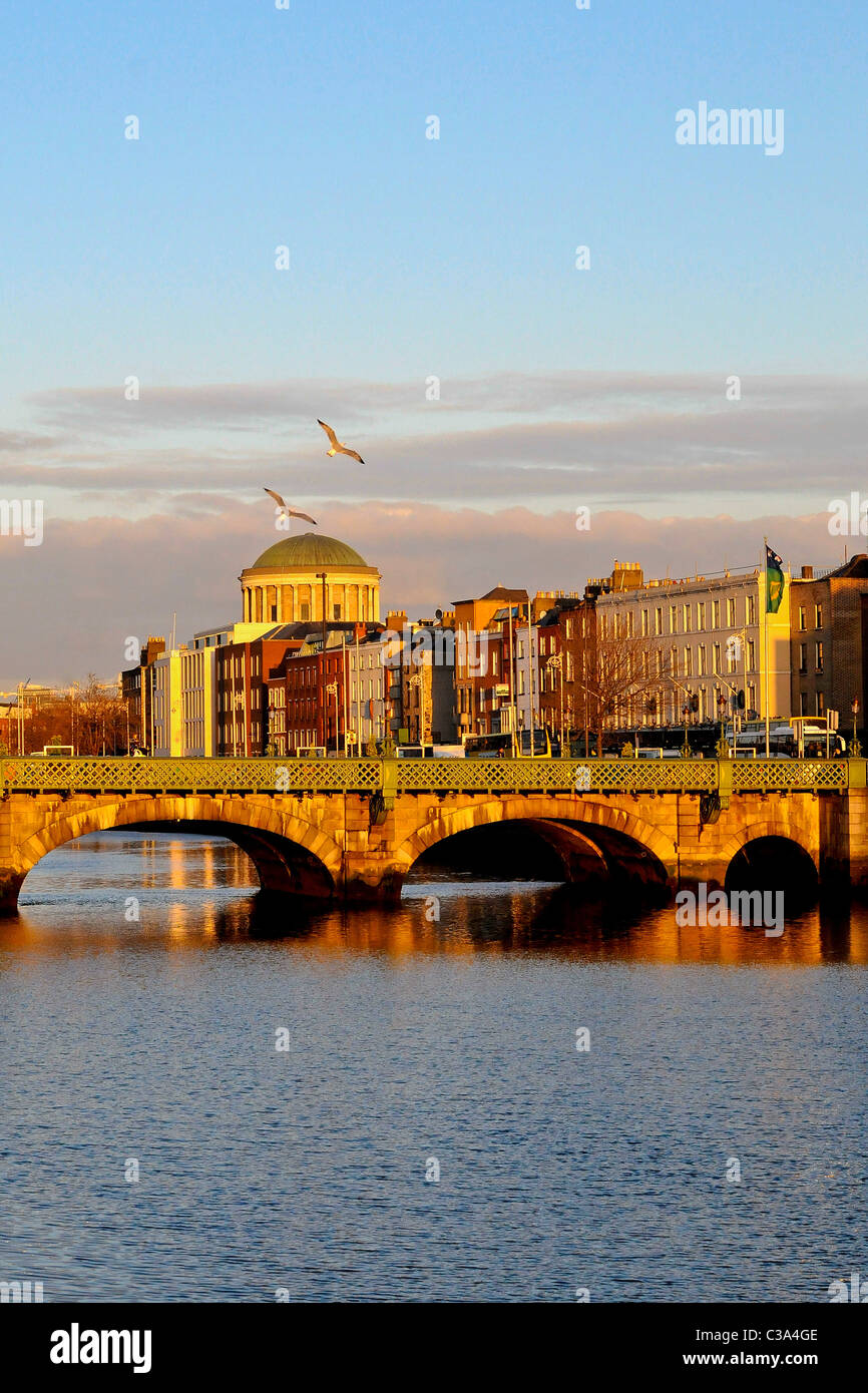 Gulls fly over the Quays in the center of Dublin in the early morning ...