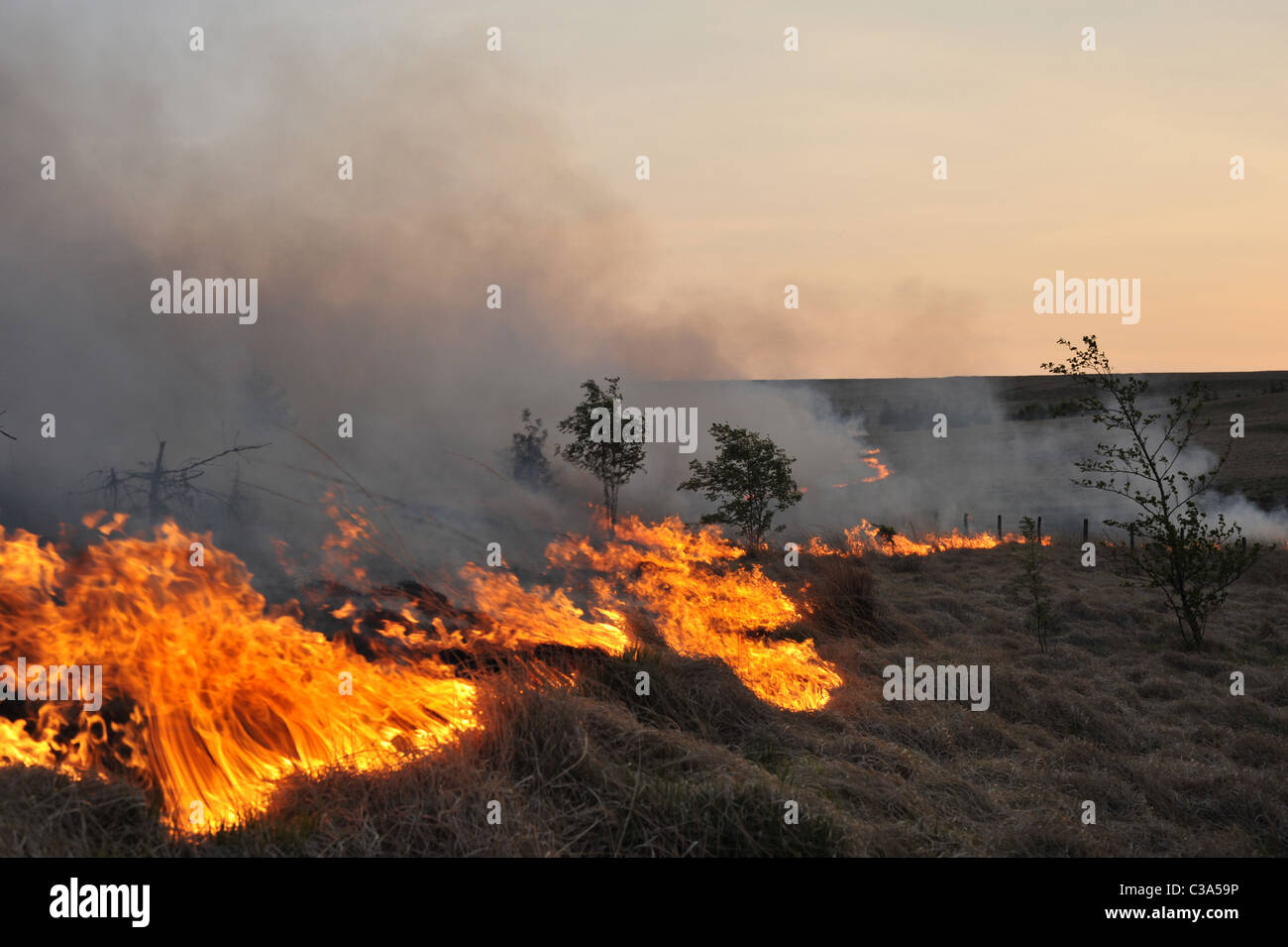 Grass fire on moors, flames blazing across the dry grass and through ...