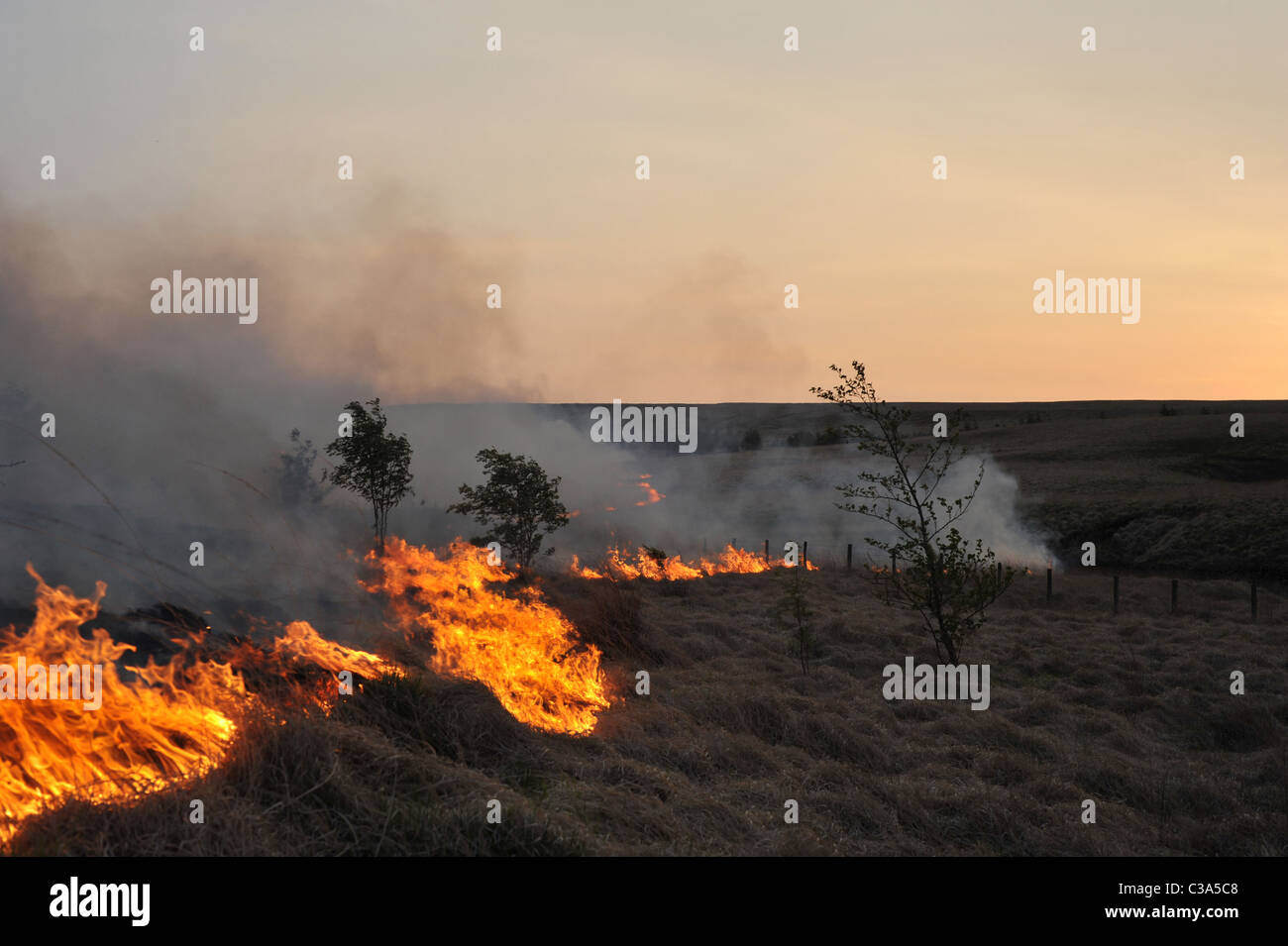 Grass fire on moors, flames blazing across the dry grass and through ...