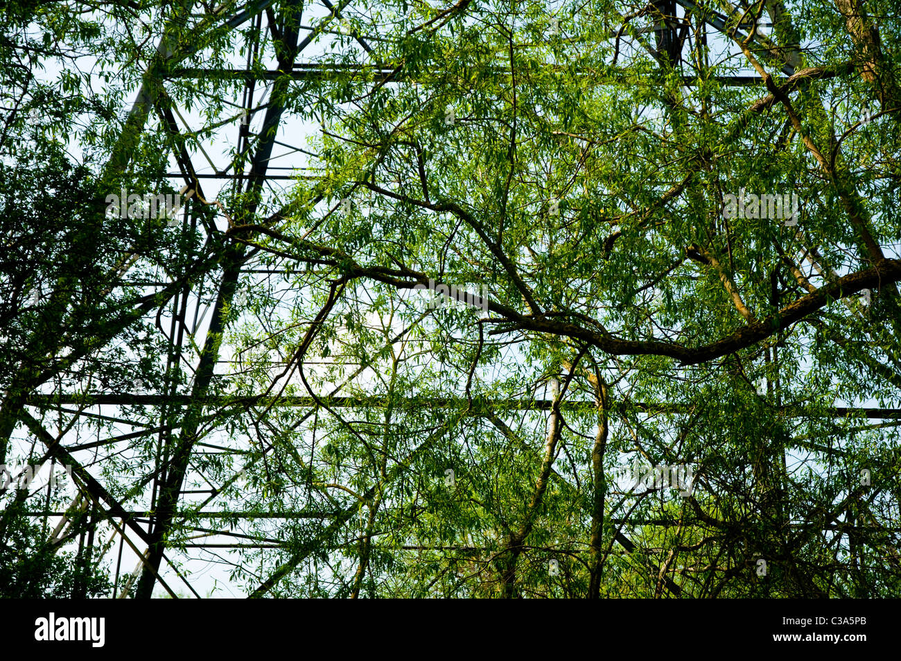 Pylons in the uk hi-res stock photography and images - Alamy