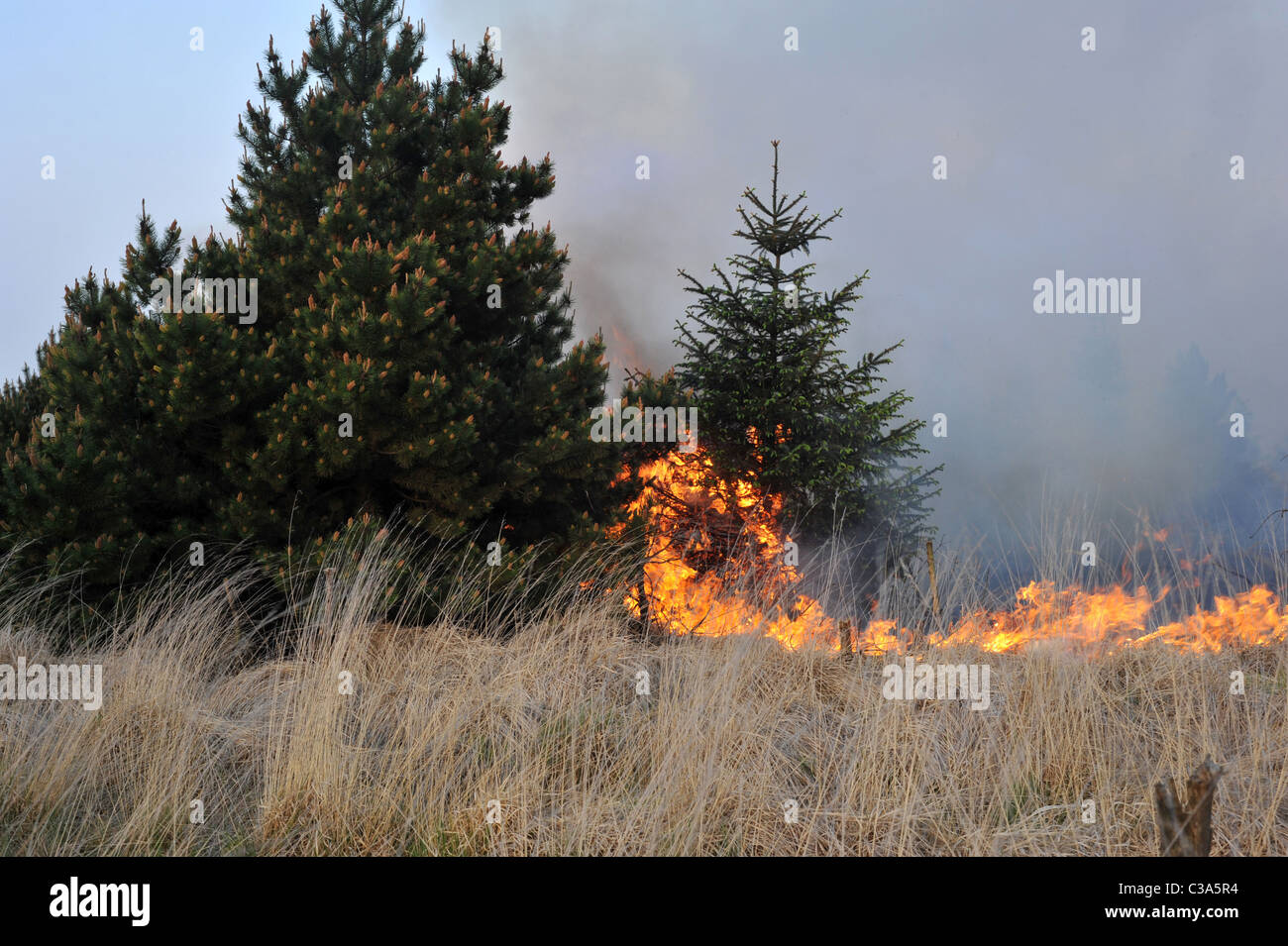 Fire smoke grass burning hi-res stock photography and images - Alamy