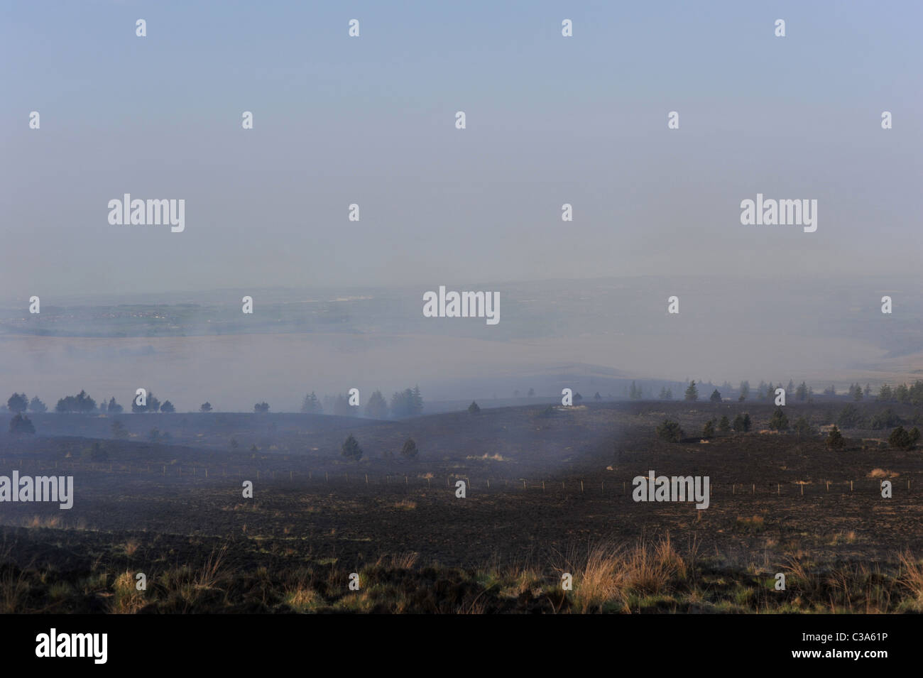 Landscape view of burnt out grass fire with smoke still coming off the ...