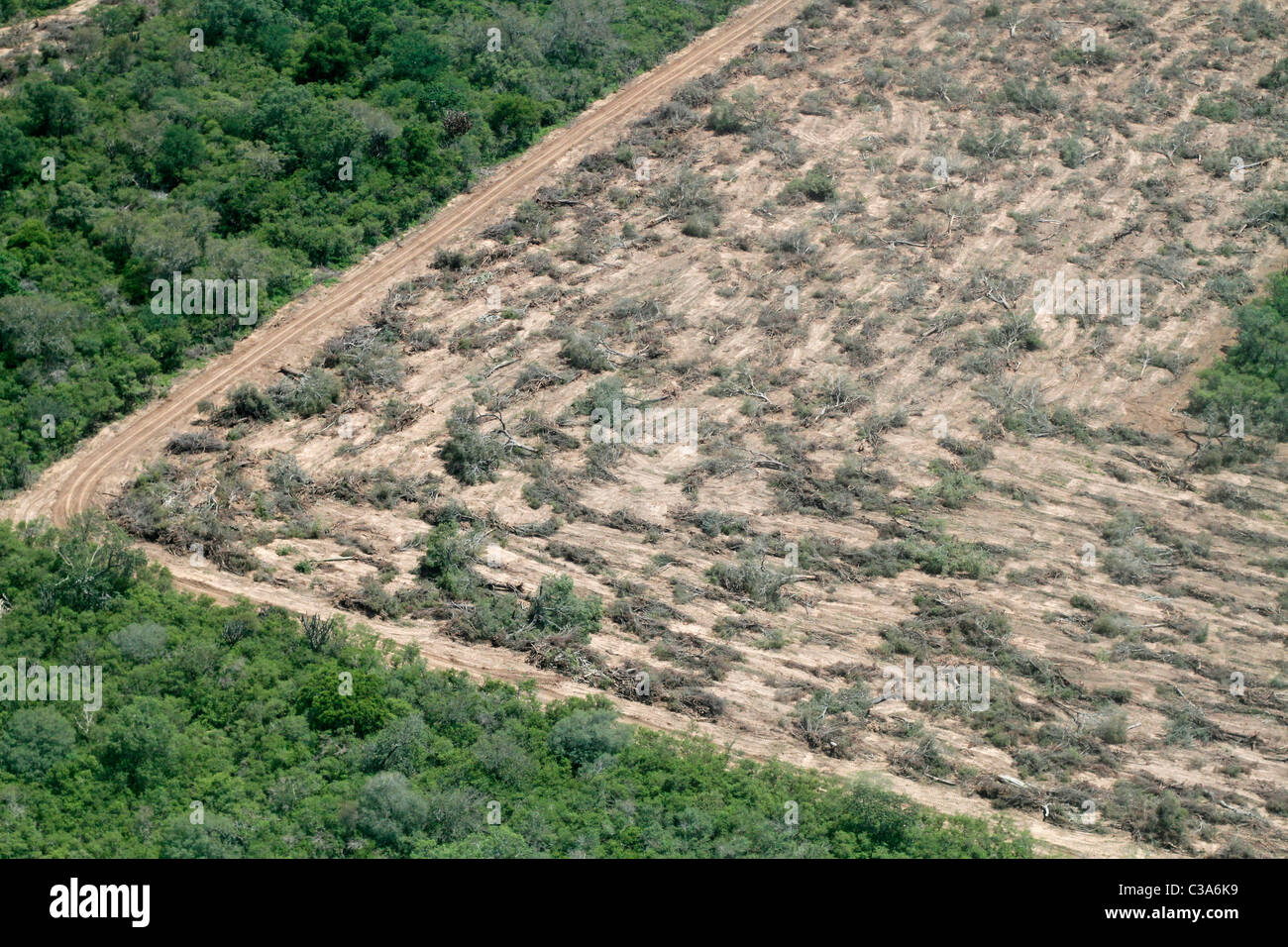 Gran chaco deforestation hi-res stock photography and images - Alamy