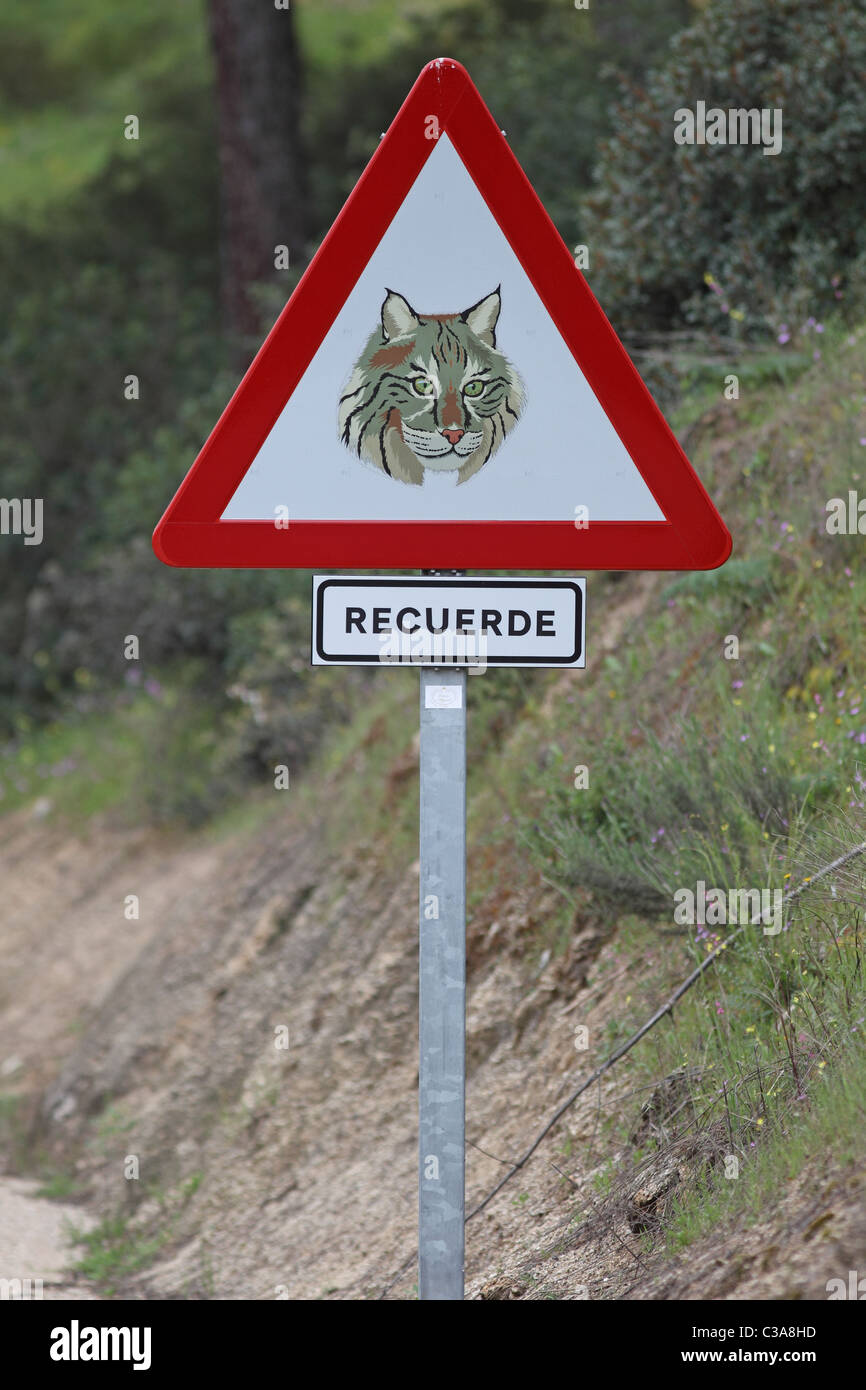 Iberian lynx (Lynx pardinus) road signs Stock Photo - Alamy
