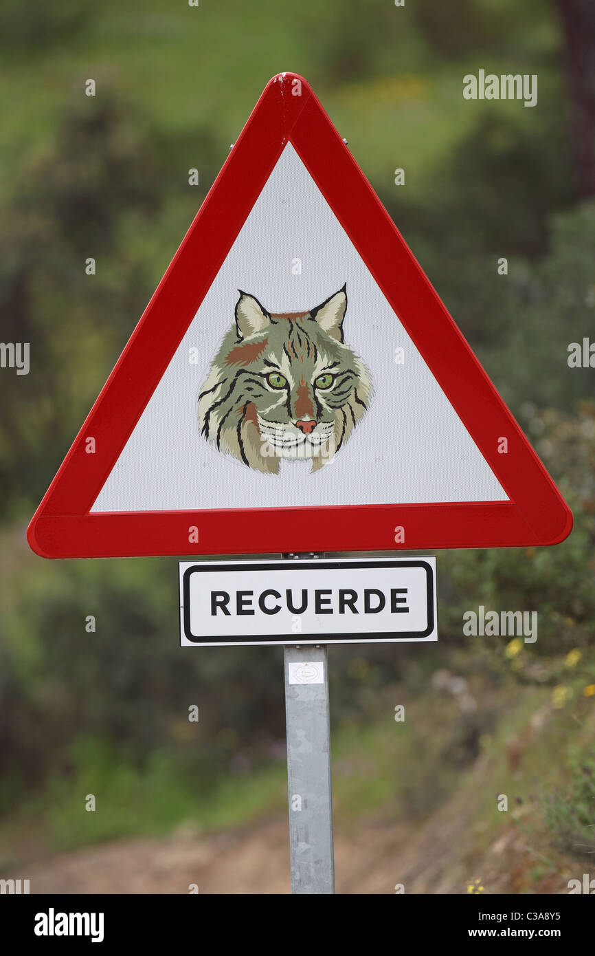 Iberian lynx (Lynx pardinus) road signs Stock Photo - Alamy
