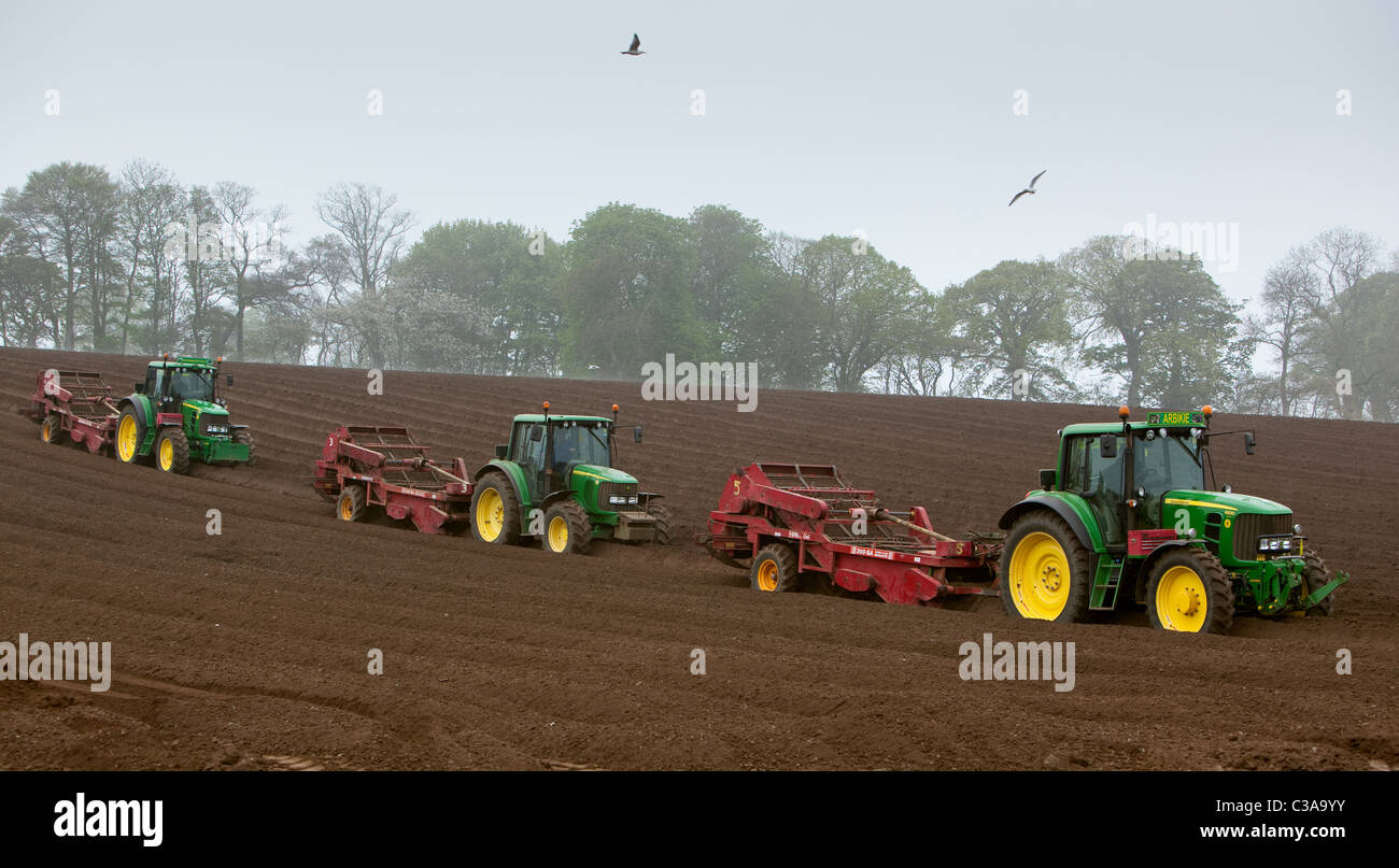 Preparing soil for potato crop sowing Montrose Scotland Stock Photo - Alamy