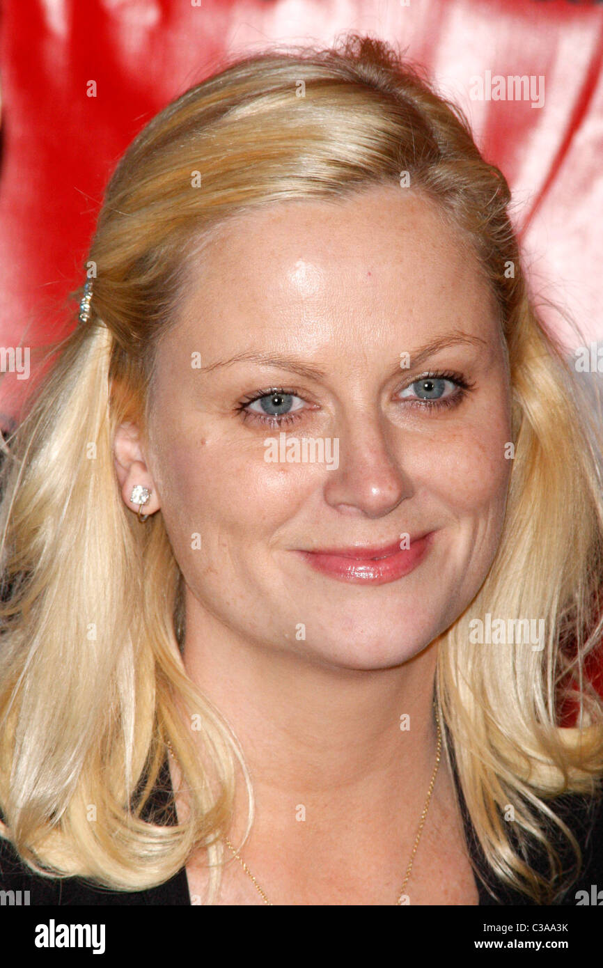 Amy Poehler 68th annual George Foster Peabody Awards at The Waldorf ...