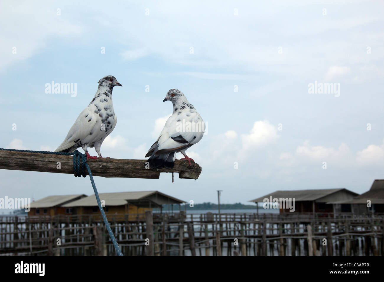 Eye language hi-res stock photography and images - Alamy
