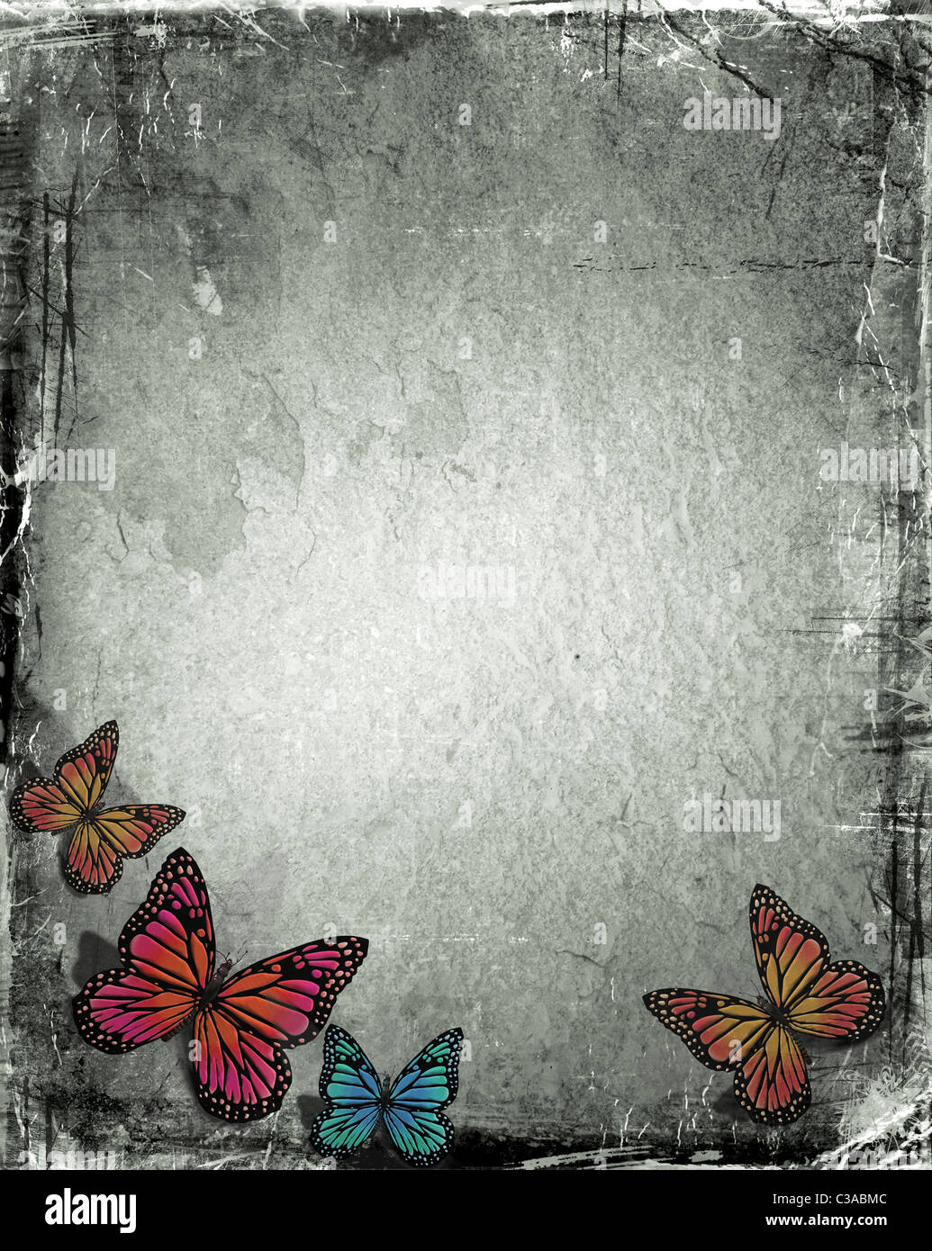 Butterfly on grunge background Stock Photo - Alamy