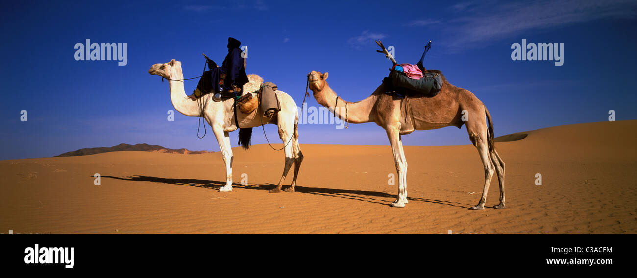 Niger, Sahara, Tenere desert, tuareg camel rider Stock Photo - Alamy
