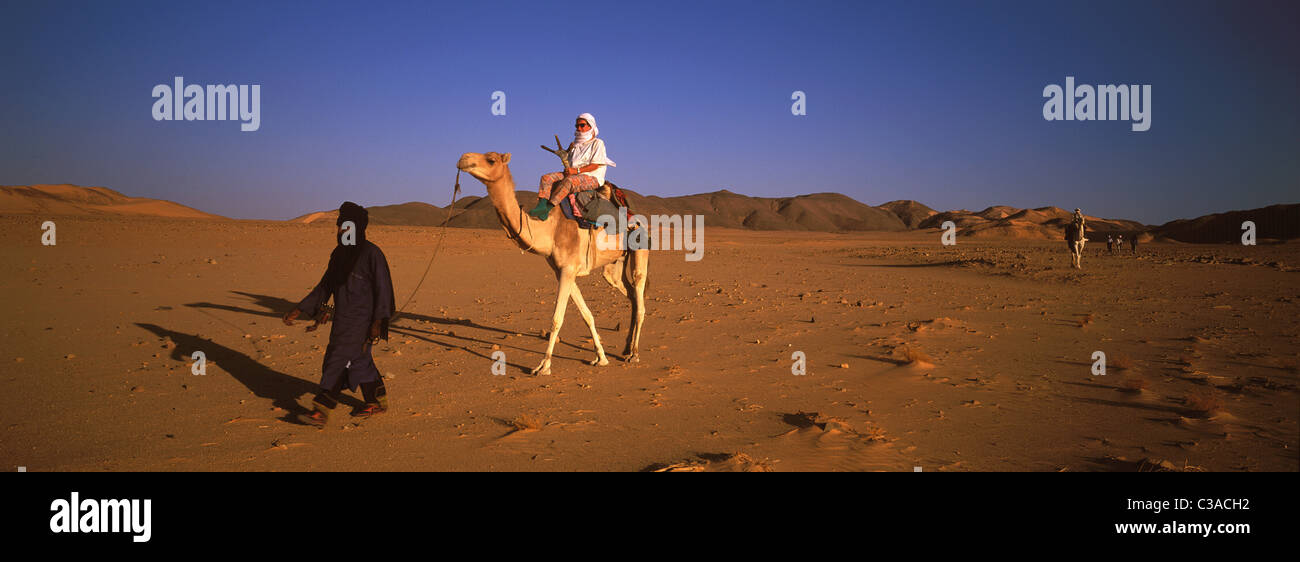 Niger, Sahara, Tenere desert, camel ride at the edge of the Air region ...