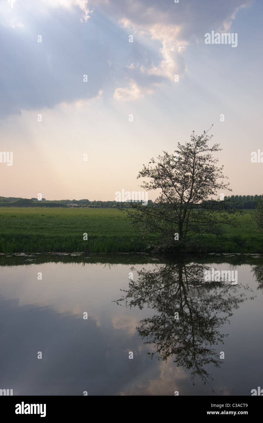 Rural landscape with tree reflection in river and sunlight between ...