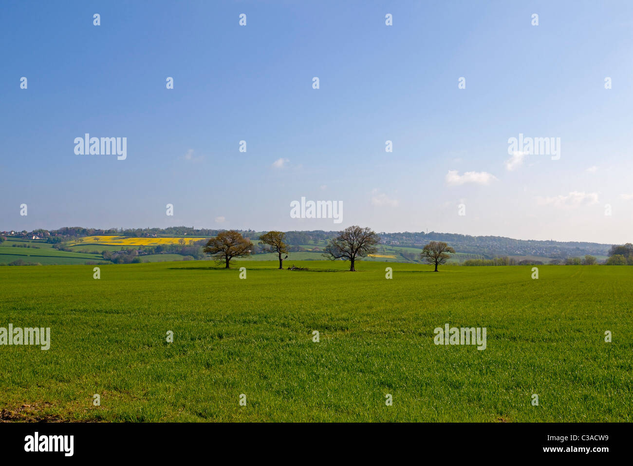 A landscape view on the Wentworth castle estate Stainborough South ...
