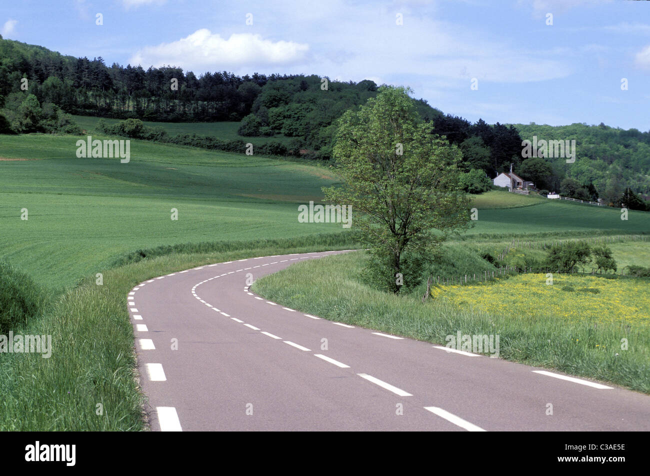 France, Cote d'Or, a sinuous road in fields Stock Photo - Alamy