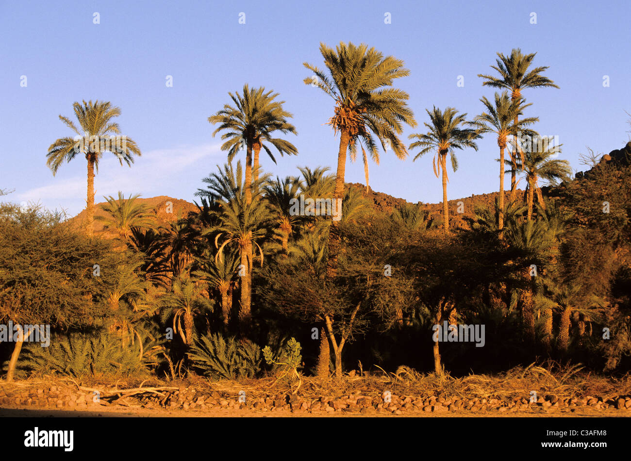 Niger, Sahara, the oasis of Timia in the mountainous massif of Air ...