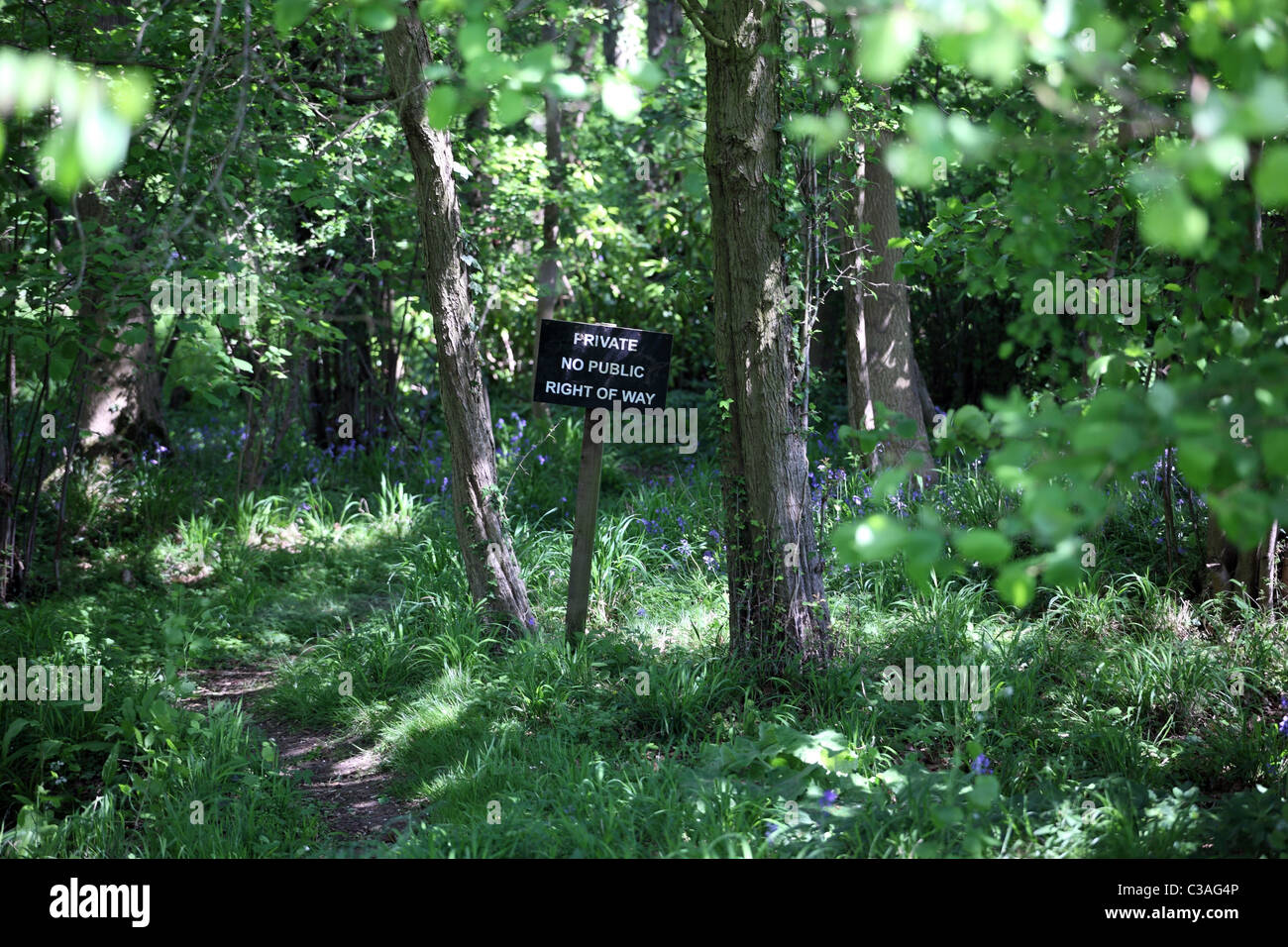 A right of way sign hi-res stock photography and images - Alamy