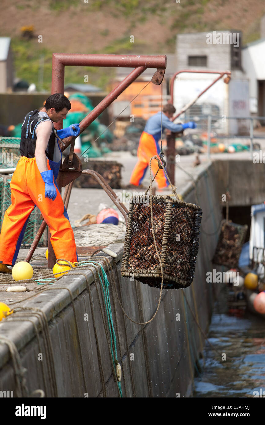 Lobsters fishing crab crabs hi-res stock photography and images - Alamy