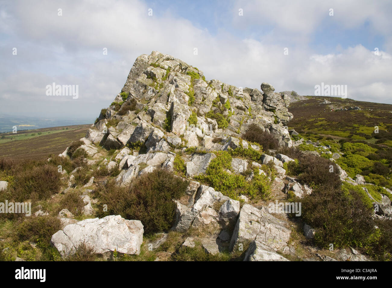 England UK May Quartzite tors of Stiperstones National Nature Reserve ...