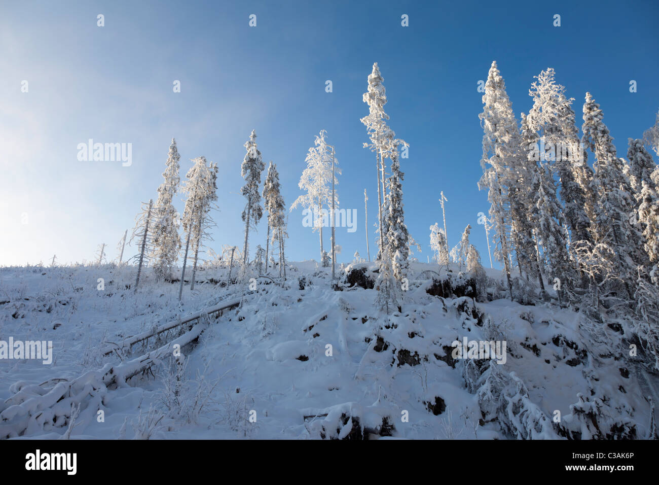 Cutting area hi-res stock photography and images - Alamy