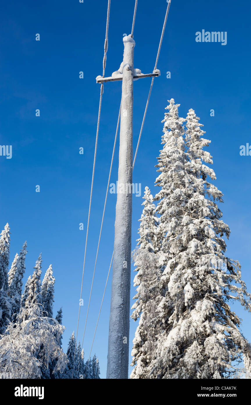 Snowy utility pole at Winter at taiga forest , Finland Stock Photo - Alamy