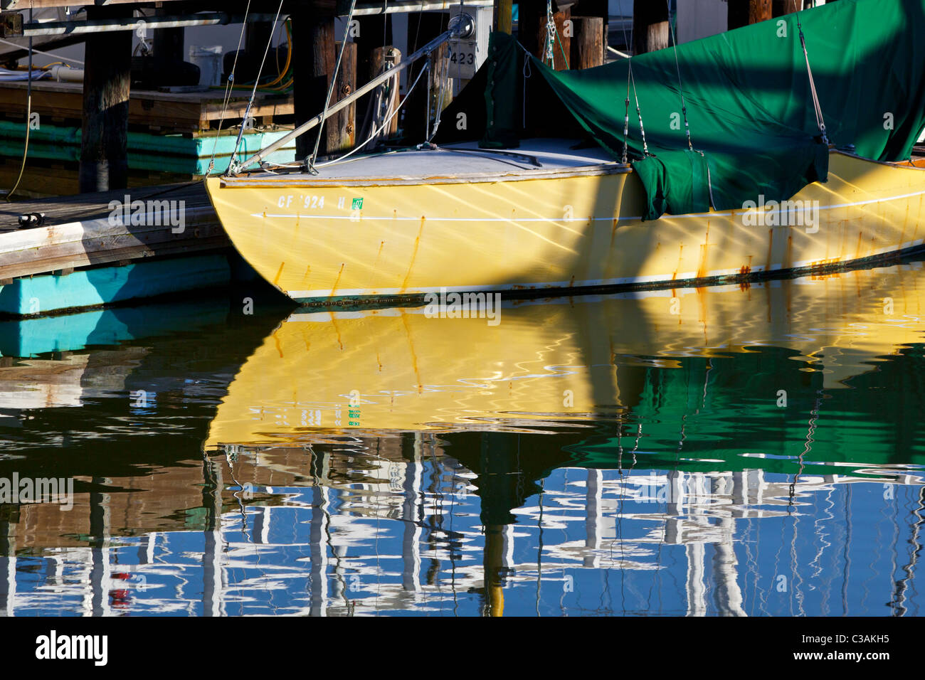 Dock bird hi-res stock photography and images - Alamy