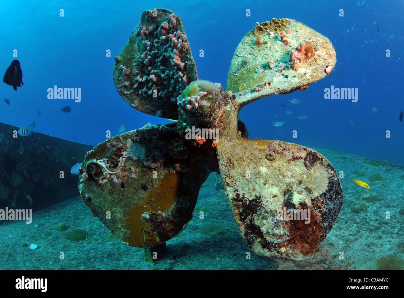 Wreck propeller hi-res stock photography and images - Alamy