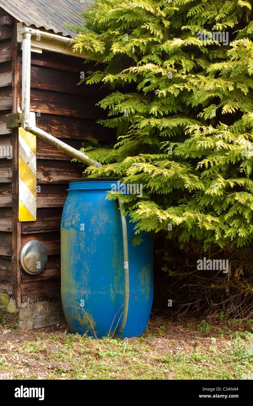 Water butt in a garden Stock Photo - Alamy