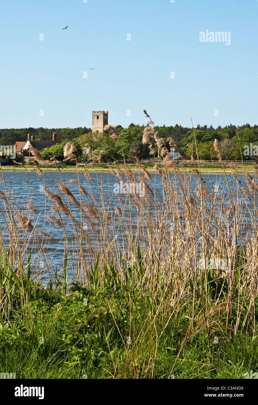 View of Little Livermere Church (St Peter and St Paul) across Ampton ...