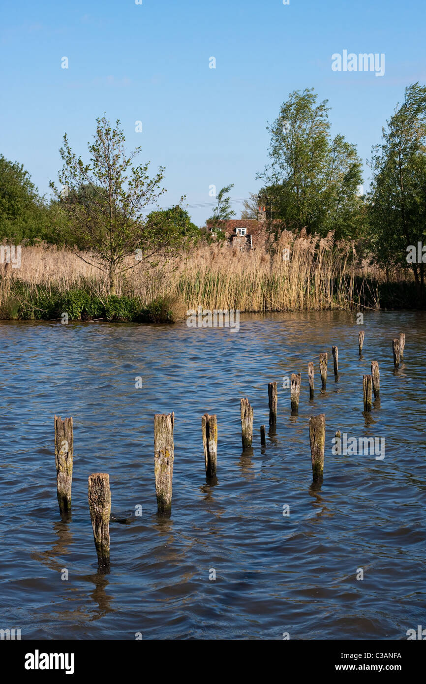 Ampton water hi-res stock photography and images - Alamy
