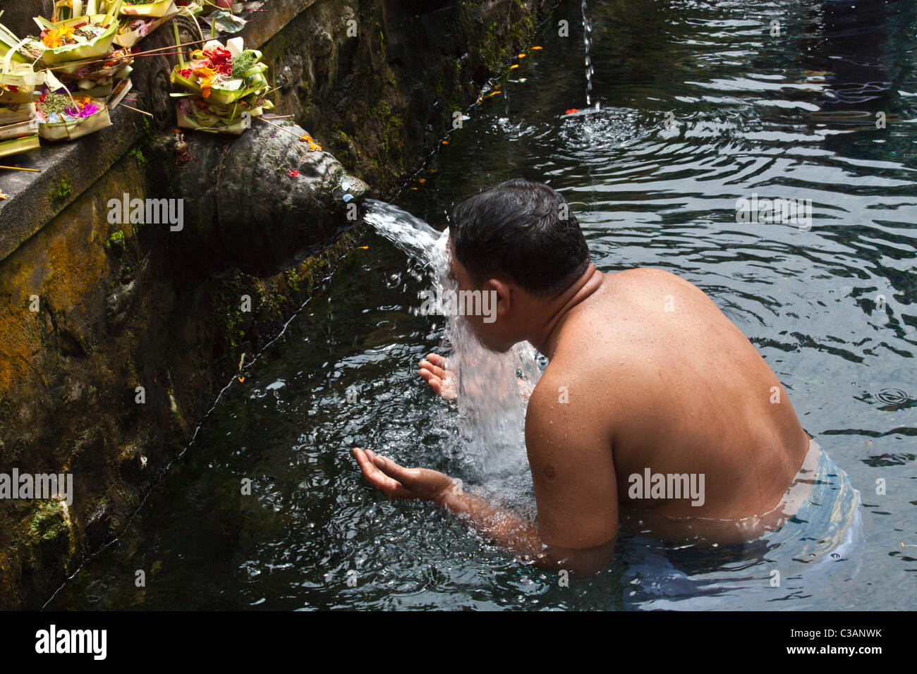 BALINESE purify themselves by bathing at PURA TIRTA EMPUL a Hindu ...
