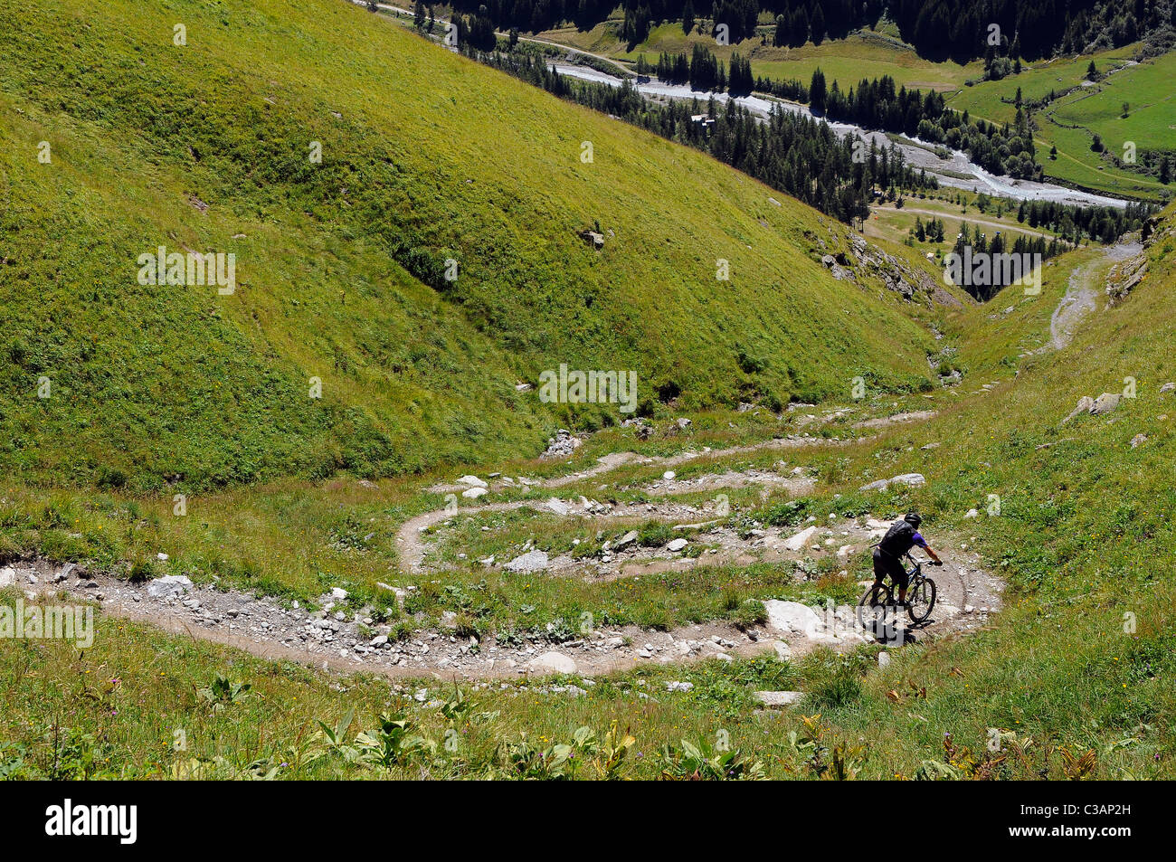 Winding Path Mountain