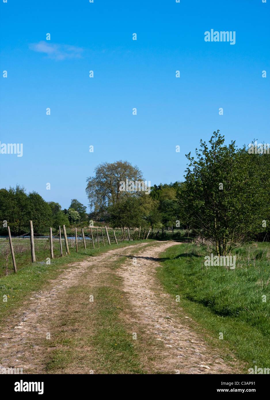 Mud track hi-res stock photography and images - Alamy