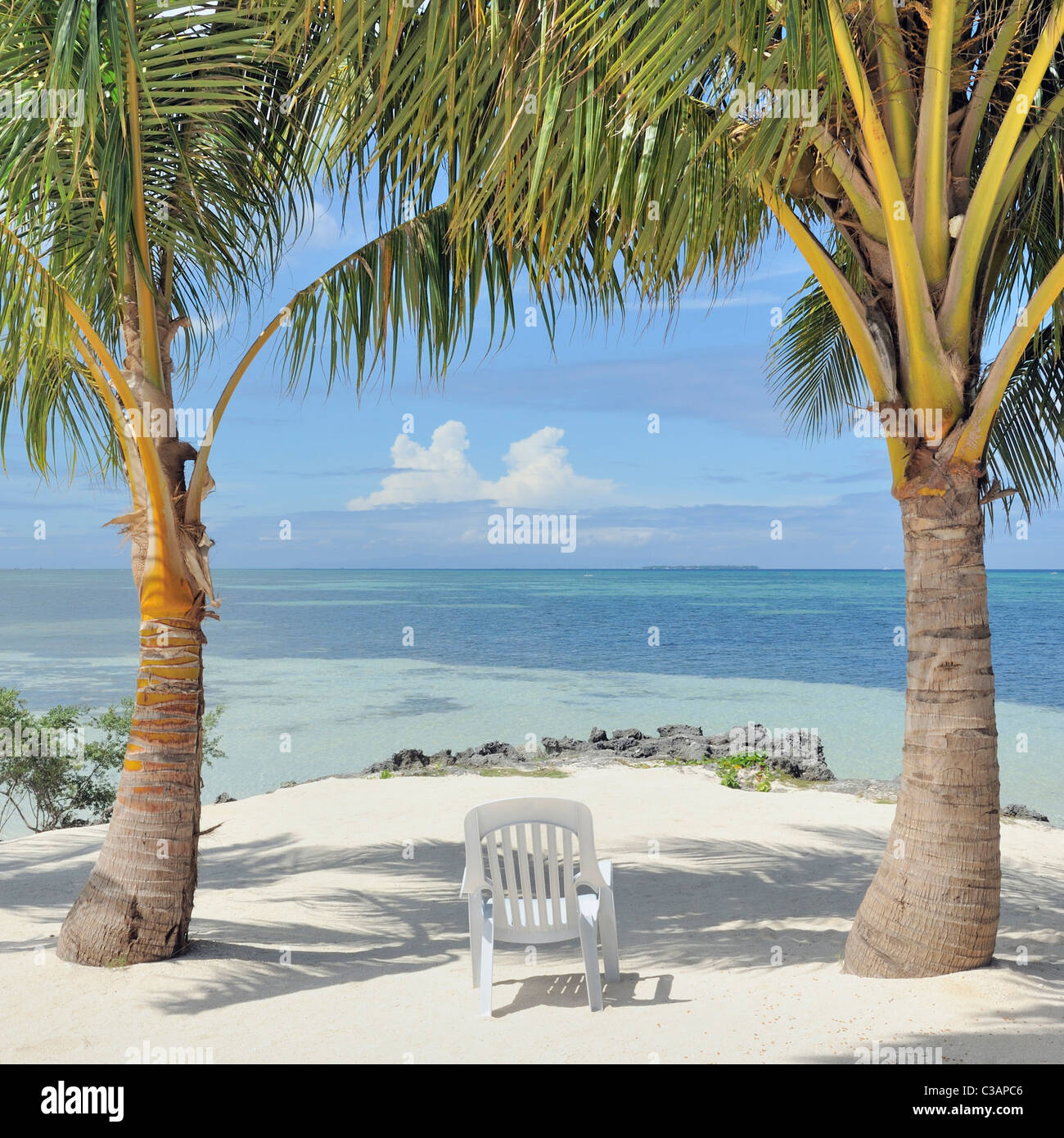 Beautiful ocean view and beach chair between palm trees on white sand ...