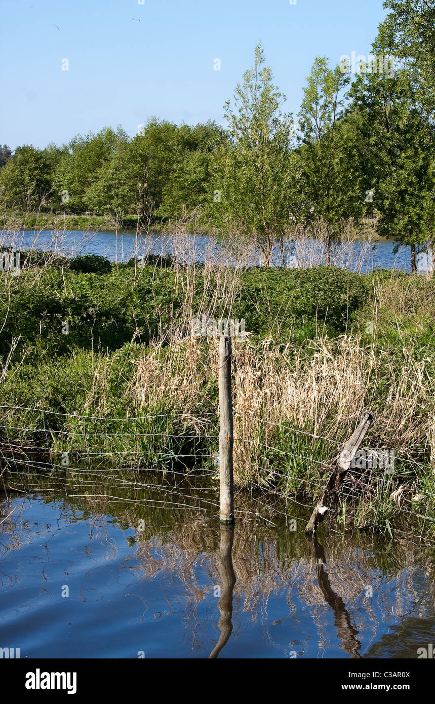 Submerged fence post in Ampton water,suffolk Stock Photo - Alamy