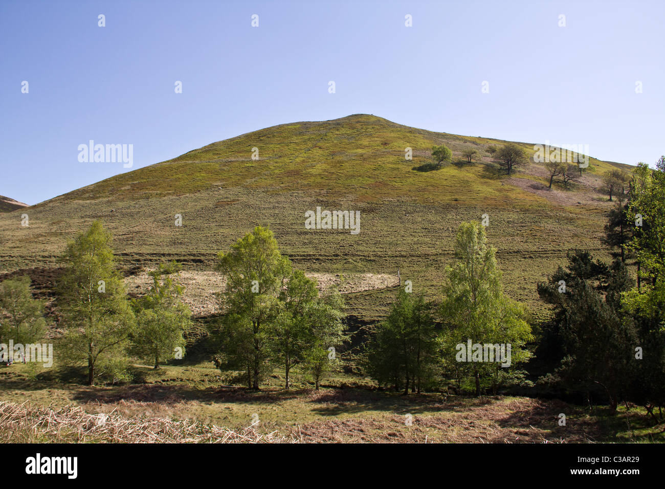 Rising above some lovely freshly clothed trees is the barren Upper Hay ...