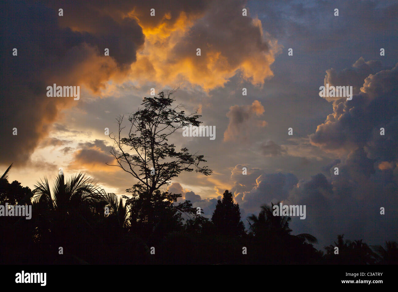 Sunset ubud bali hi-res stock photography and images - Alamy