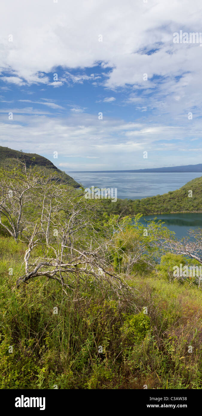 Tagus Cove, Isabela island, Galapagos Islands, Ecuador Stock Photo - Alamy