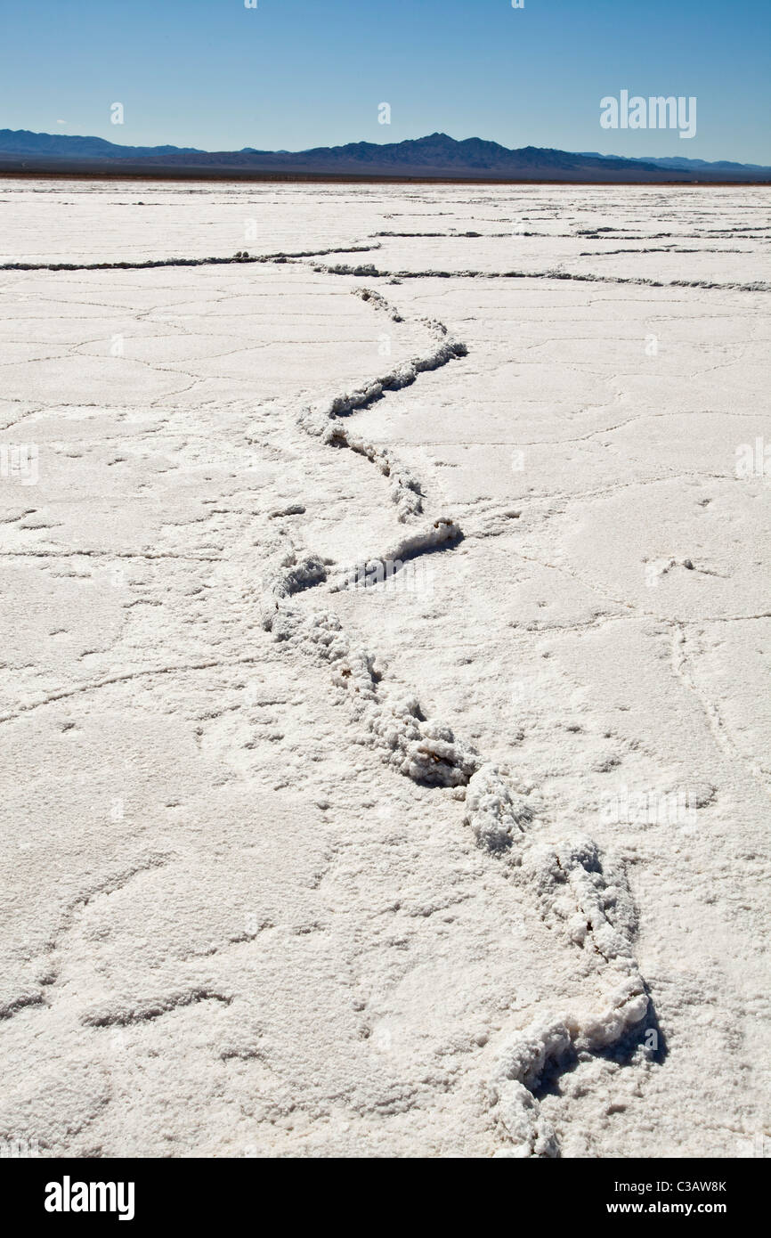 Bristol Lake (Dry Lake Bed) California, United States of America Stock ...