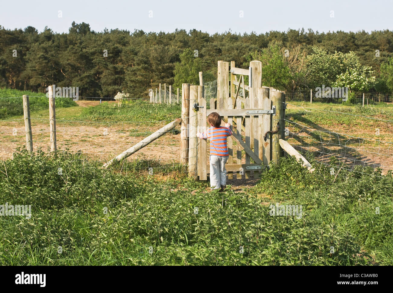 Young boy opening a gate in the countryside Stock Photo - Alamy