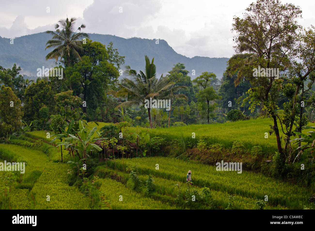 Farmer gunung agung volcano, bali hi-res stock photography and images ...