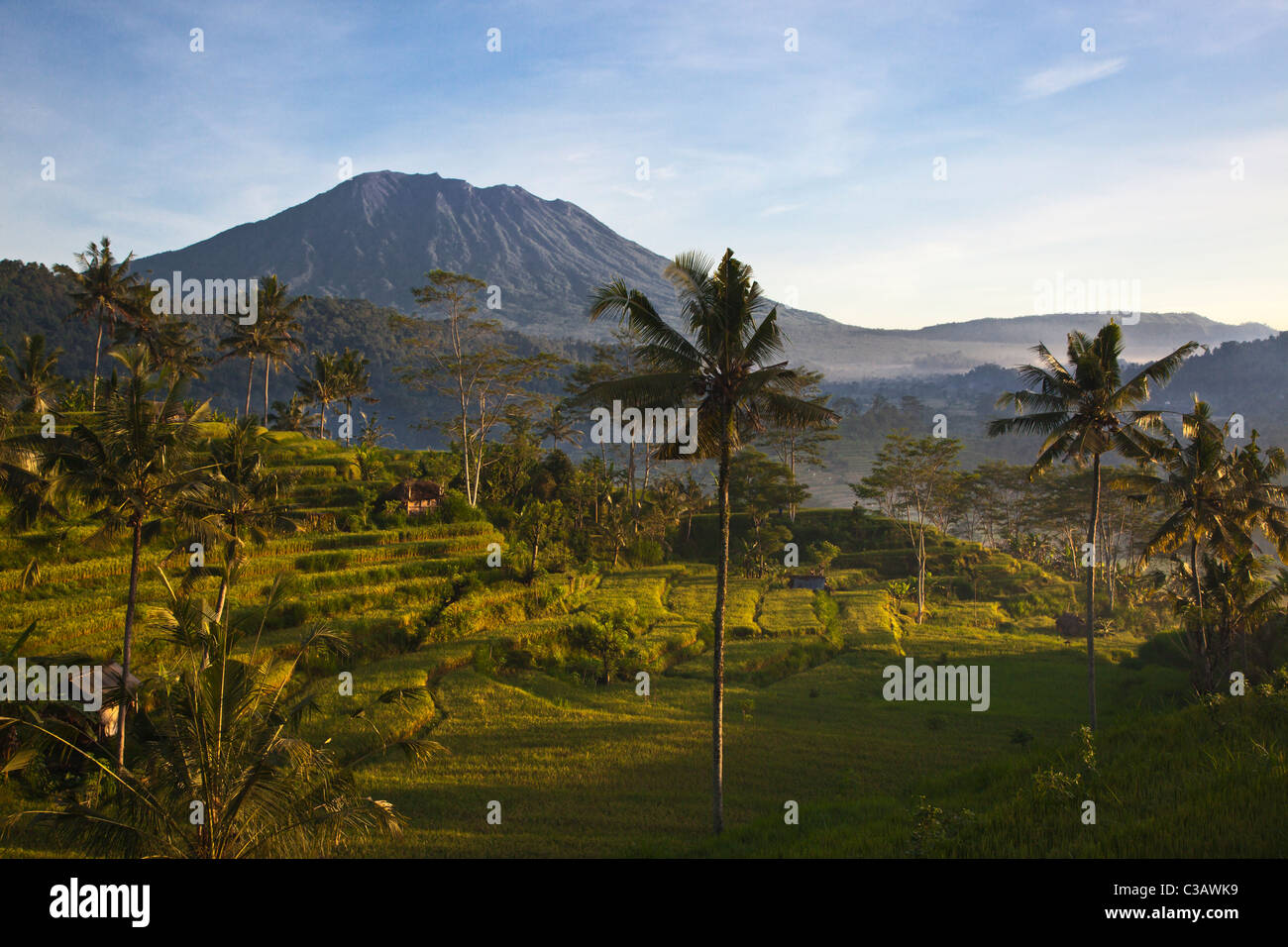 GUNUNG AGUNG the tallest mountain on the island with RICE TERRACES and ...