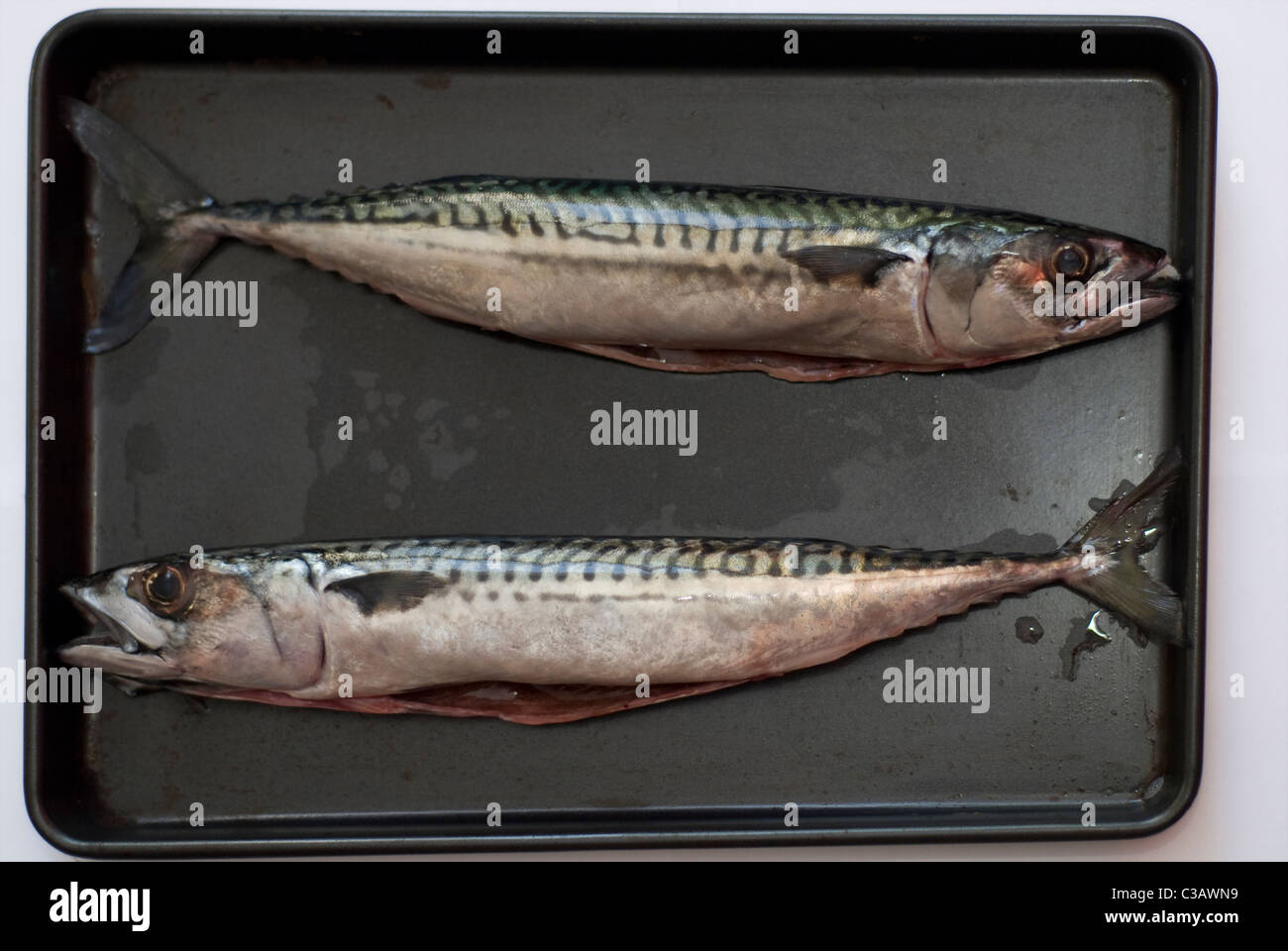 Two mackerel fish baked hi-res stock photography and images - Alamy