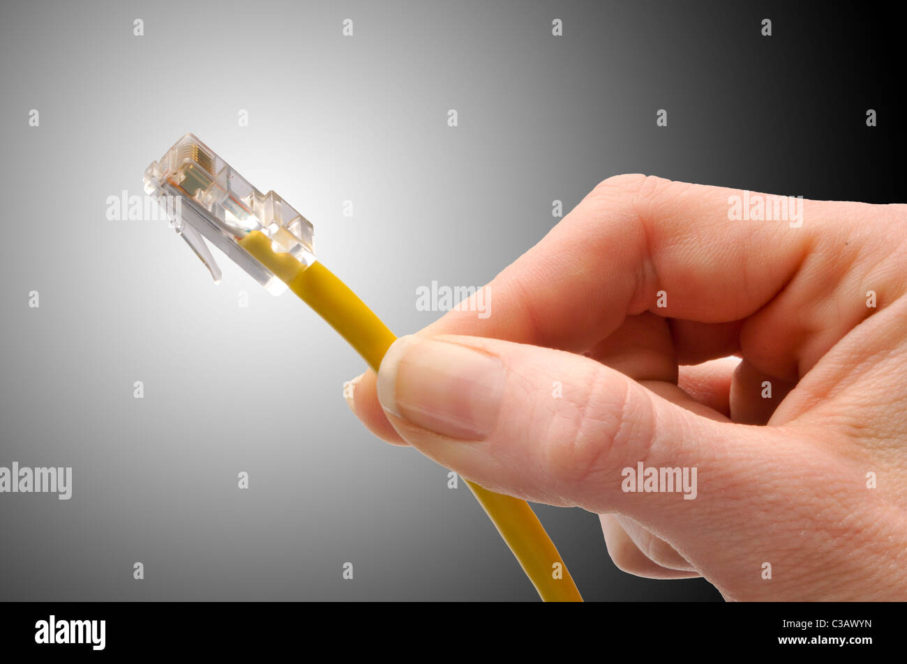 hand holding cat 5 network cable in fingers Stock Photo - Alamy