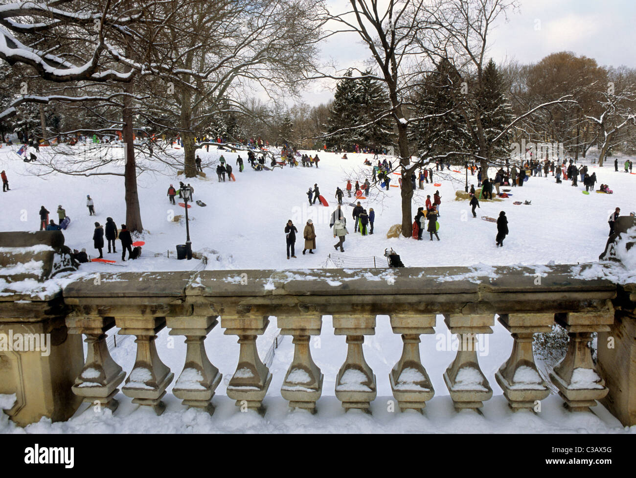 Central Park snow New York. Children sleighing in the park. Fun ...